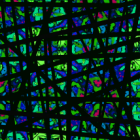 DESIGNER PROFILE - JOANN LIEBERMAN - Style Portfolios